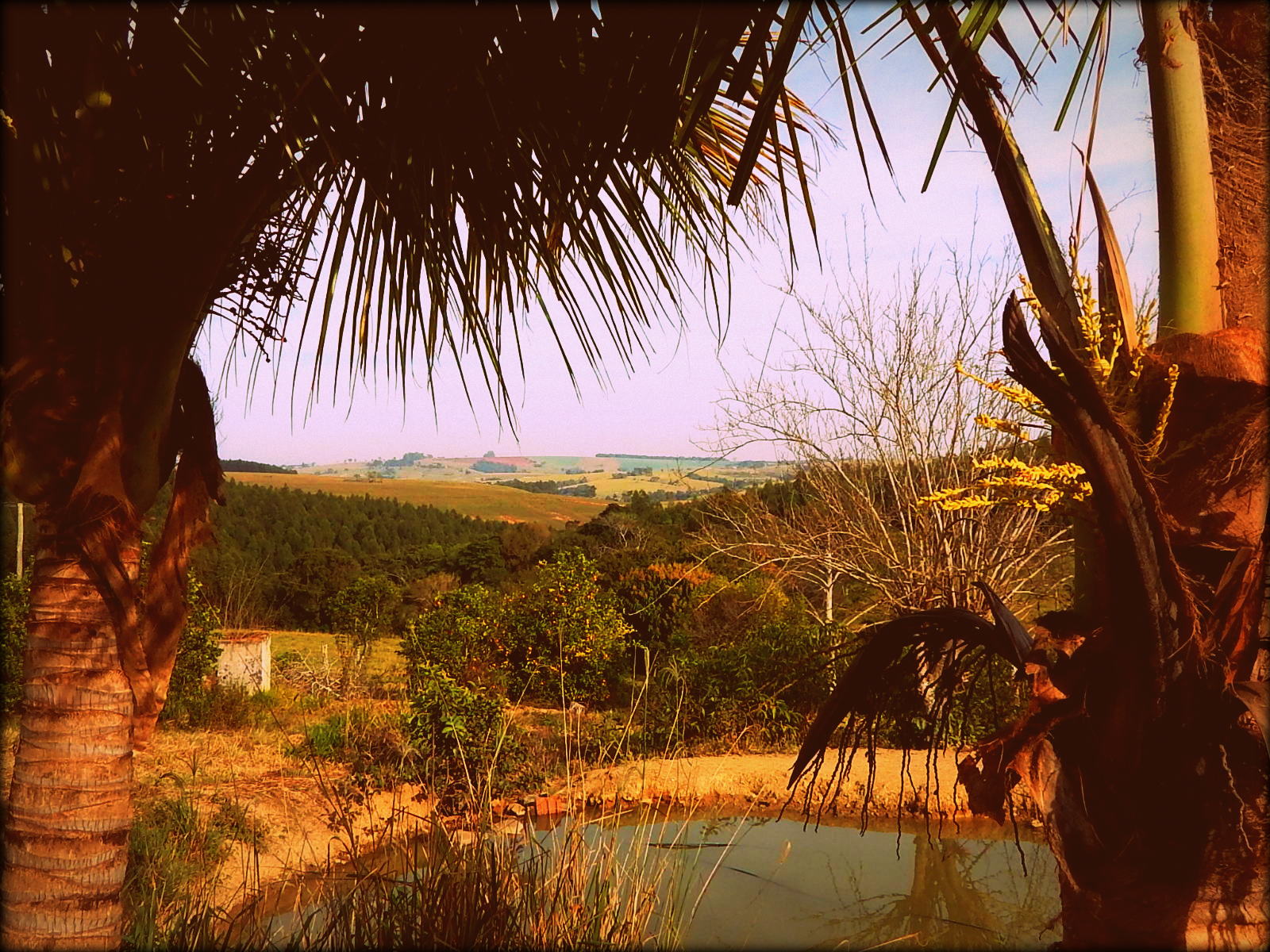 Momentos e Fotografias: Zona Rural I