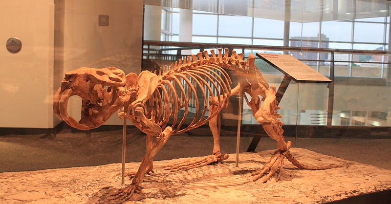 d20 Despot: Monster Monday: Beaver and Dire Beaver - Those Dam Rodents