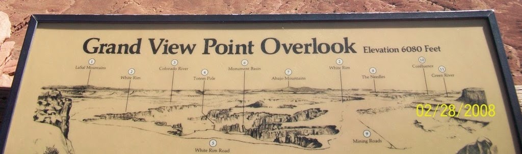 Turkey Tales and Frog Fables: August 2014