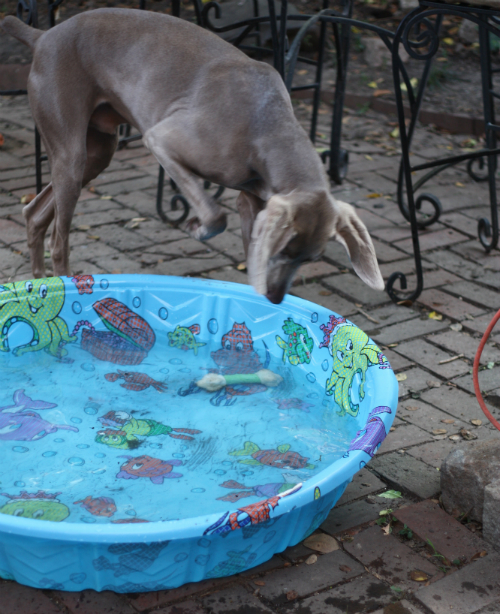 Long Weekend Basics | 17 Apart