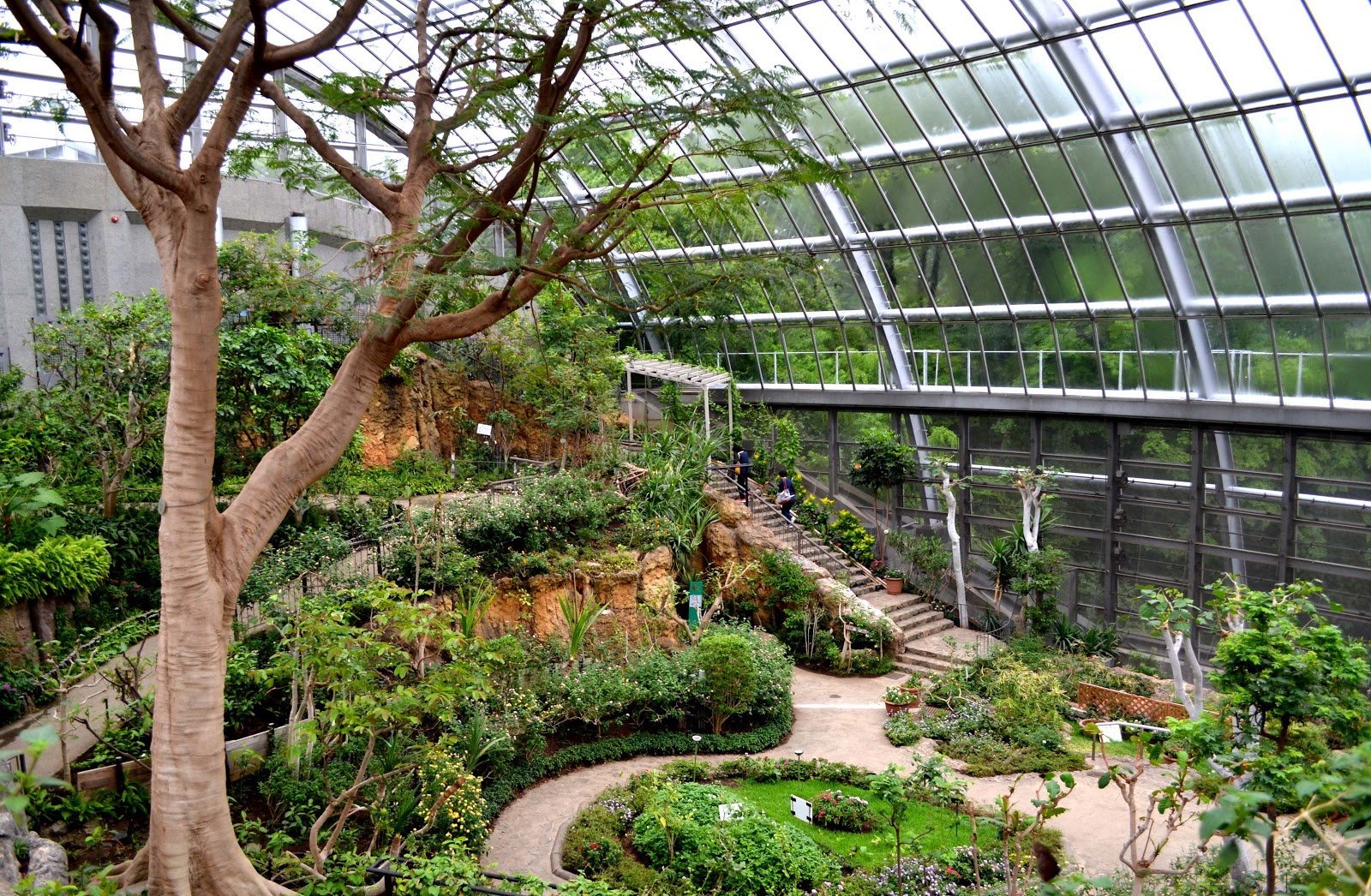 Supercords: Tama Zoo: The Good