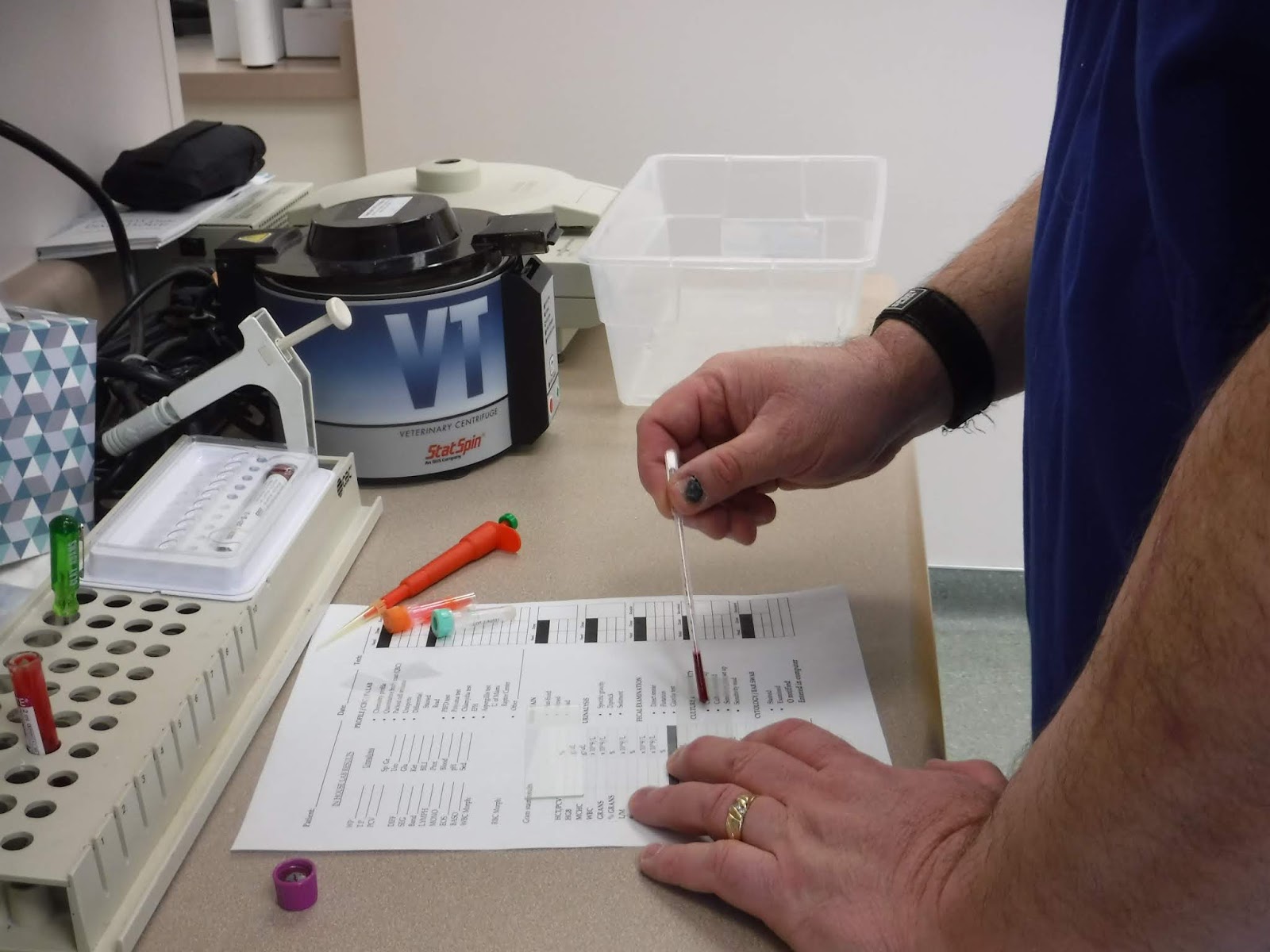 Parrish Creek Veterinary Clinic Blog: We Want Your Pet's Blood