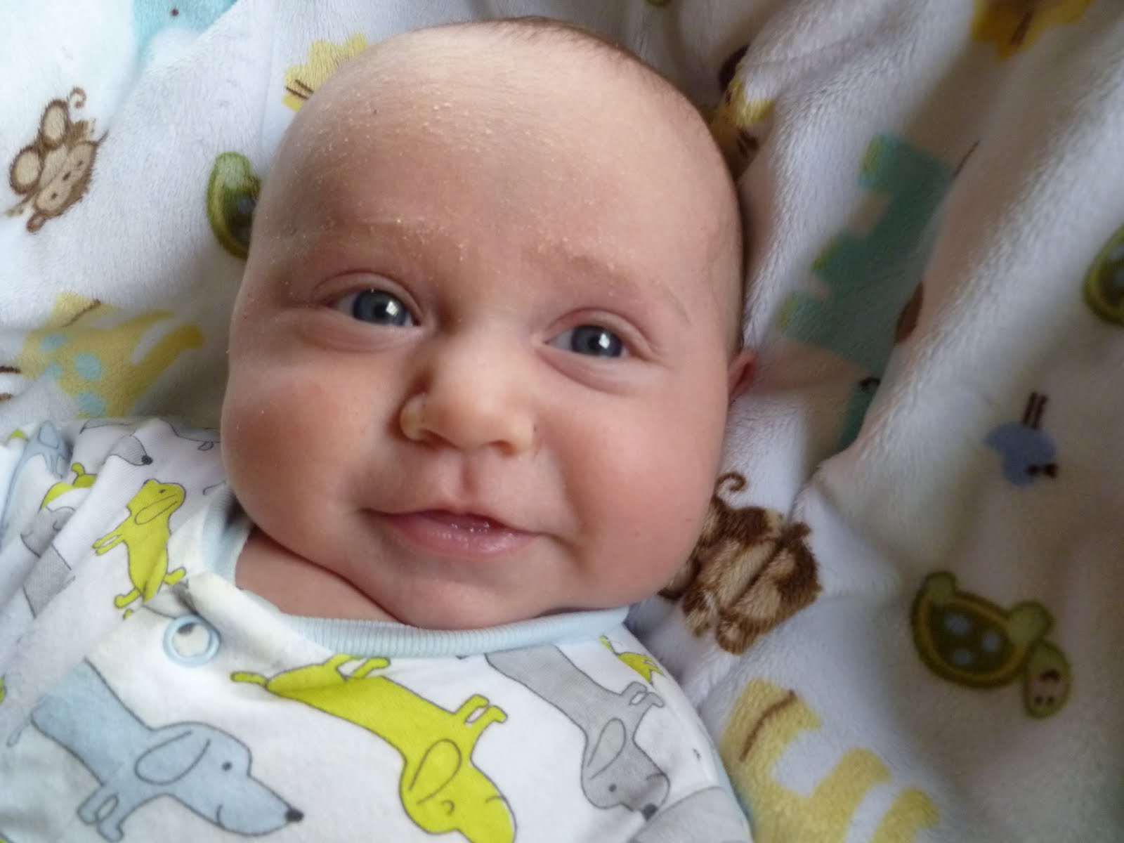 THE HUSZAR FAMILY: Jake is 8 weeks old today!