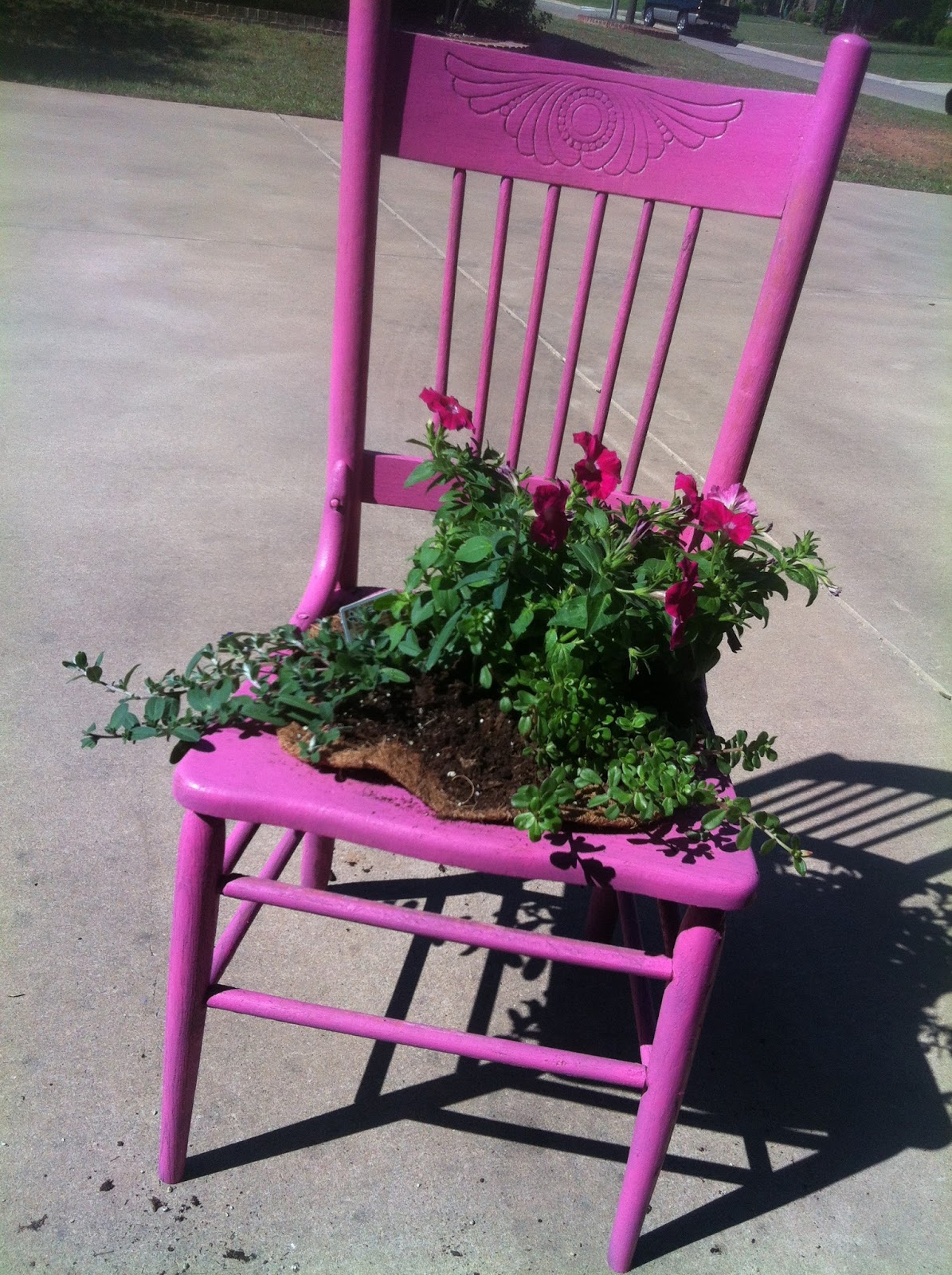 Has to be Pretty: Garden Chair Planter!