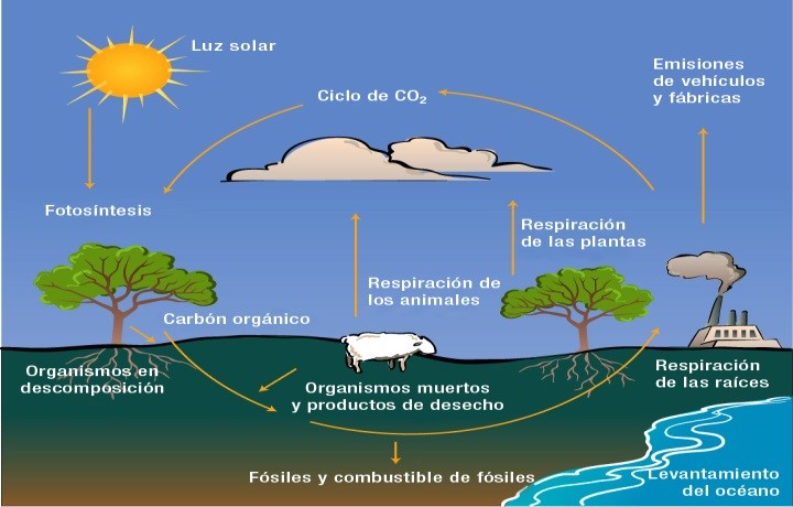 C. T. 3ro: CICLO DEL OXÍGENO Y LA PROBLEMÁTICA AMBIENTAL