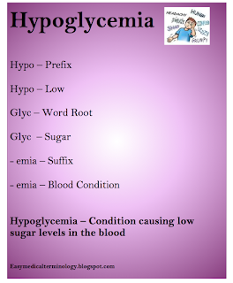 Easy Medical Terminology : Hypoglycemia Free PDF Poster