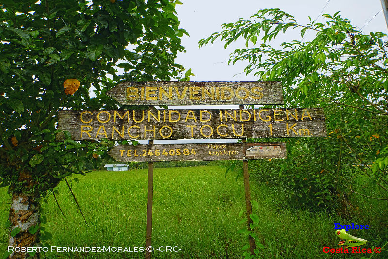 Palenque Margarita -San Rafael de Guatuso, Alajuela- | Explore Costa Rica