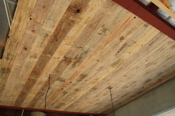 Nes skrop: Day 572: Reclaimed pine ceiling