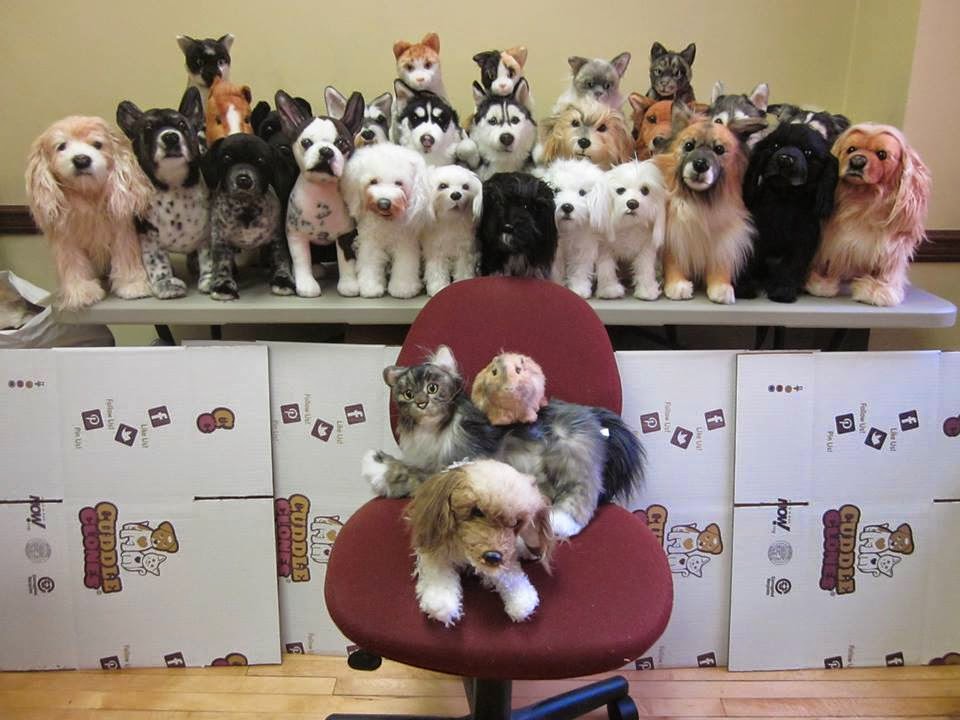 Natural PawPals: Cuddle Clones