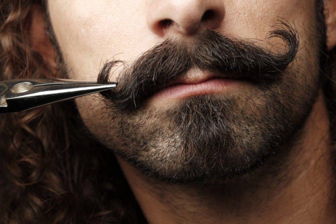 VAIDADE: Bigode nosso de cada dia: dicas para manter o visual - Revista ...