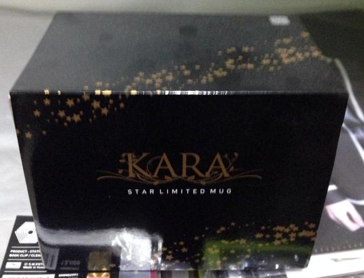 SKY ZONE: KARA K-POP