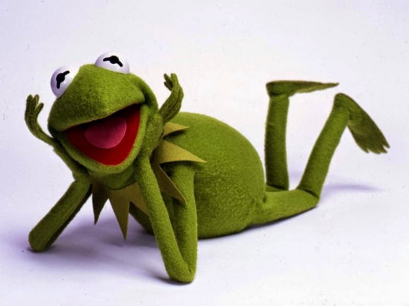 Foto de la verdadera Rana René (Kermit the Frog) | El HIT GUATE RADIO