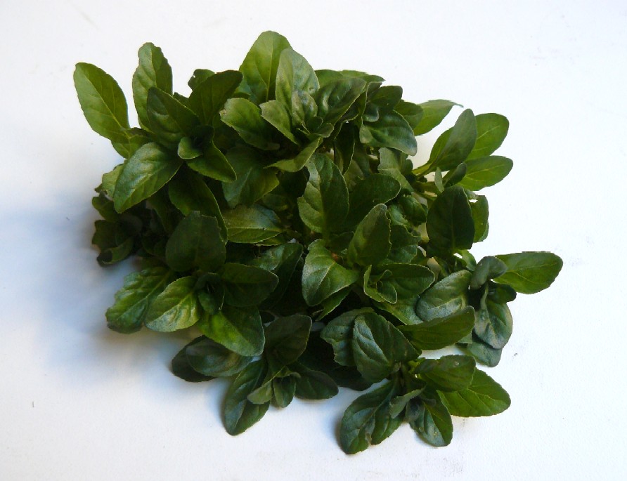 Outras Comidas: Açorda de Poejos com Ovos (Poejada)