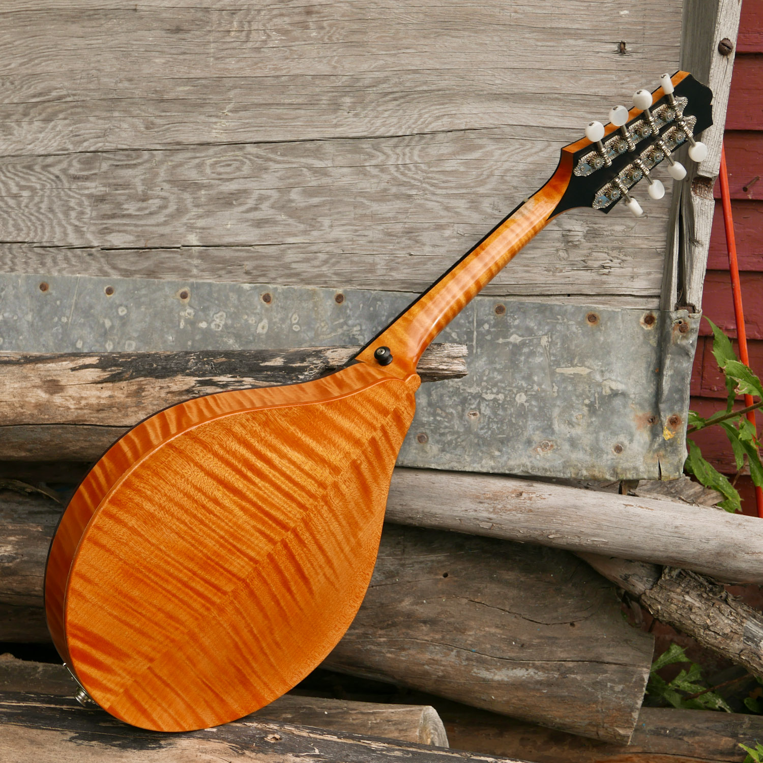 2013 Collings MT Carved-top Mandolin