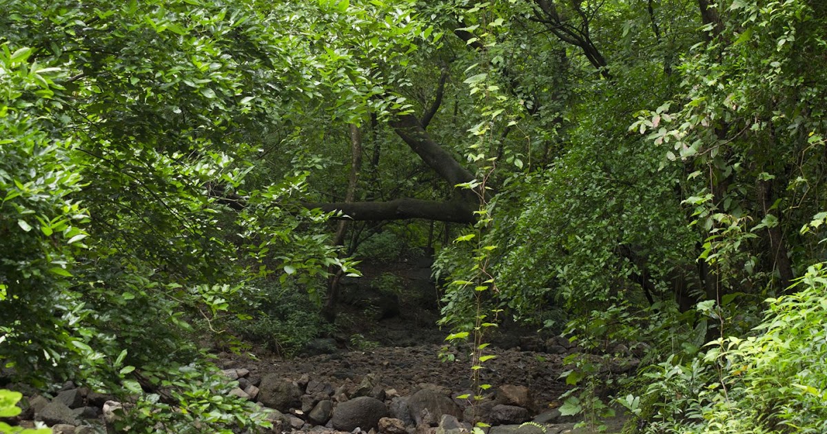 loveslife&food: Experience nature at its best at SGNP