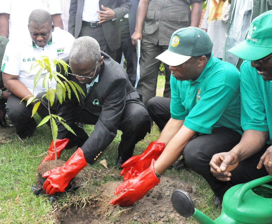 Strategic Index News: PICTURES: GOV FASHOLA AT YEAR 2012 TREE PLANTING ...