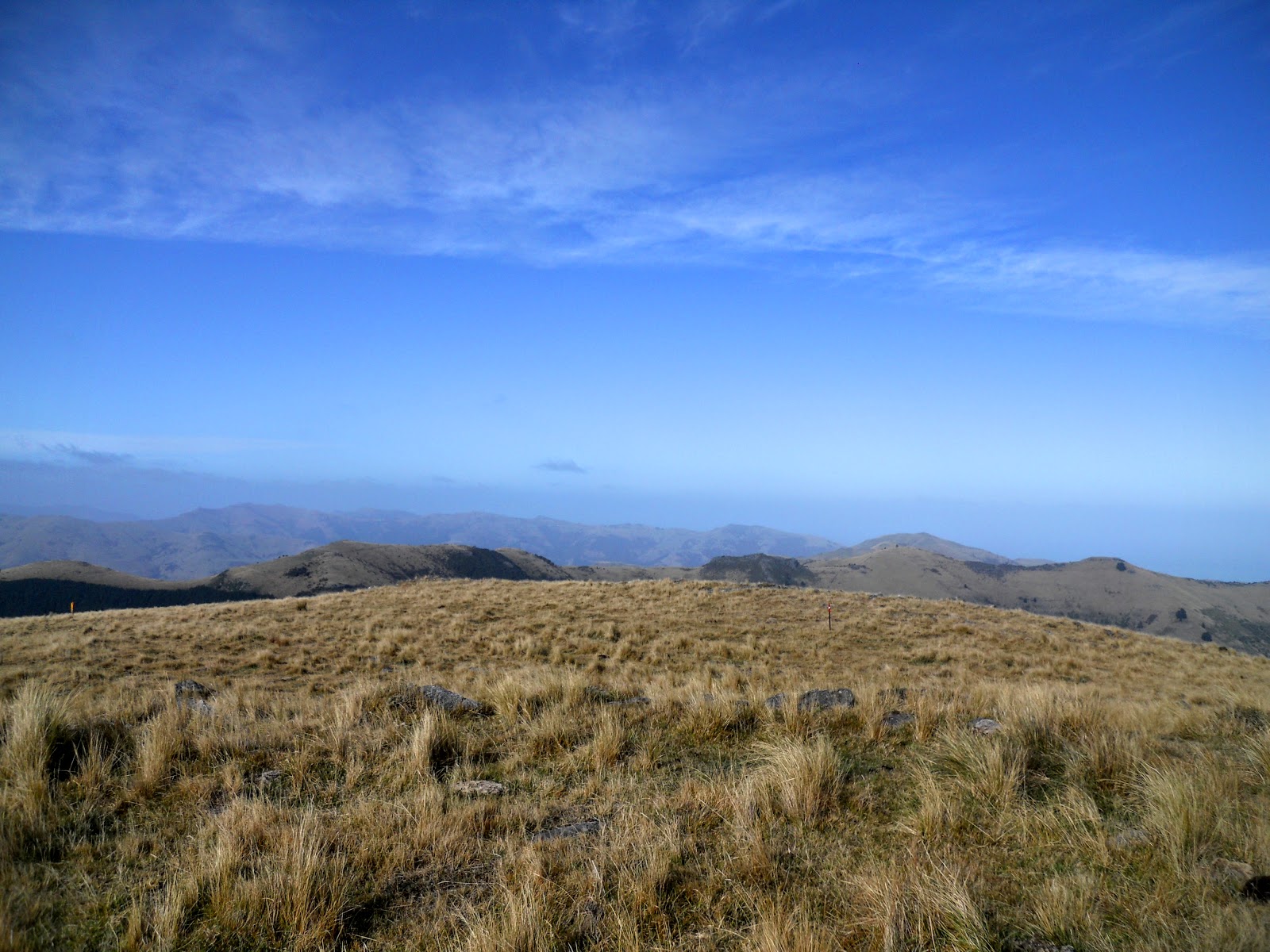 Tramping in the New Zealand backcountry: NZ Bush Adventures: Purau ...