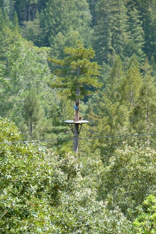 the overflow: CRAZY ZIP LINE EXPERIENCE