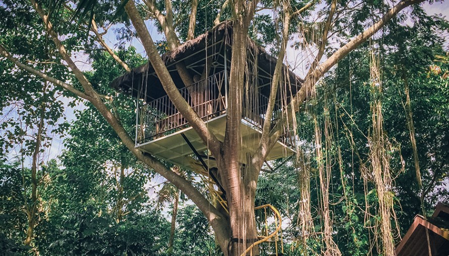 Harga Tiket Masuk Taman Botani Sukorambi Jember - Info Karanganyar