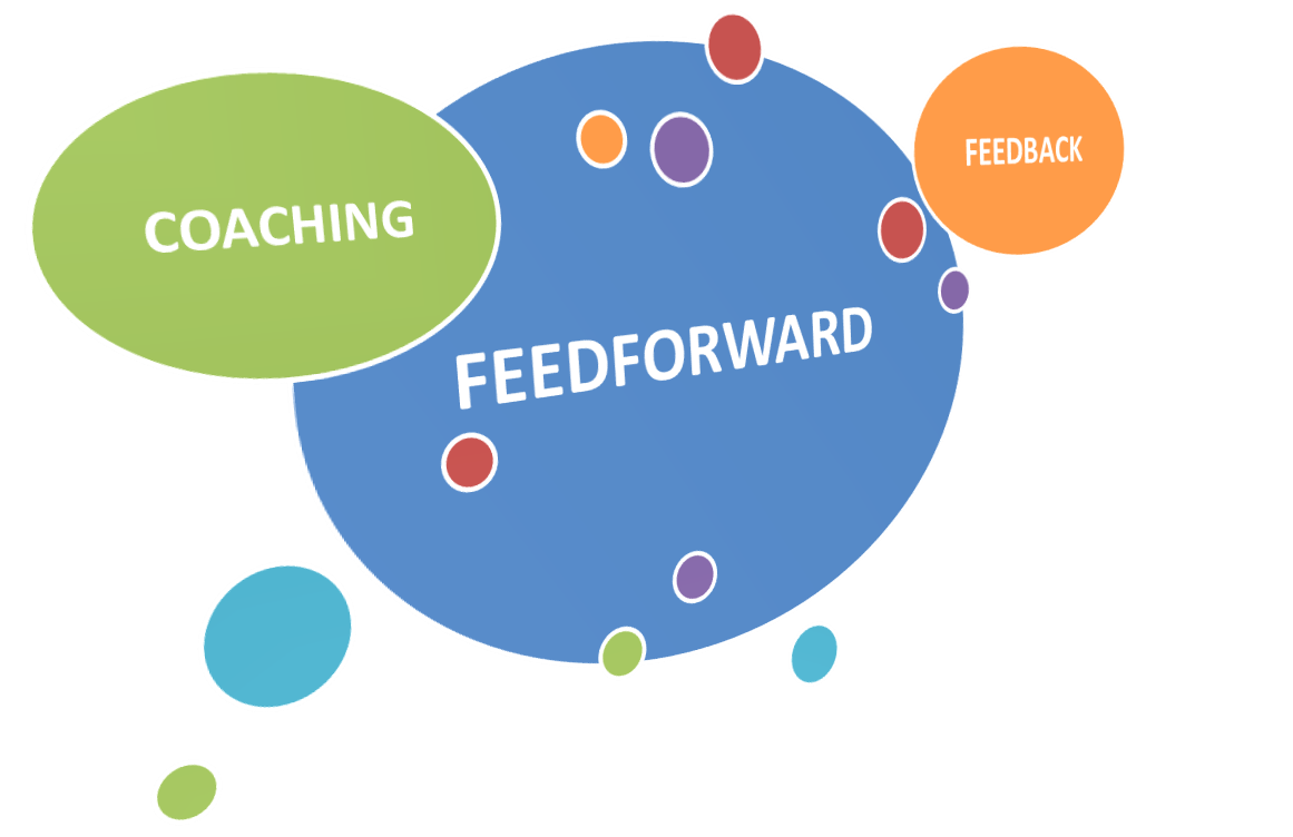 Prática Capital Humano: Você já conhece o FEEDFORWARD?