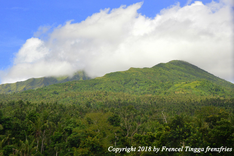 Frenz Fries: Lake Buhi Resort