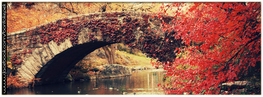 BORÍTÓKÉPEK: Őszi Borítóképek