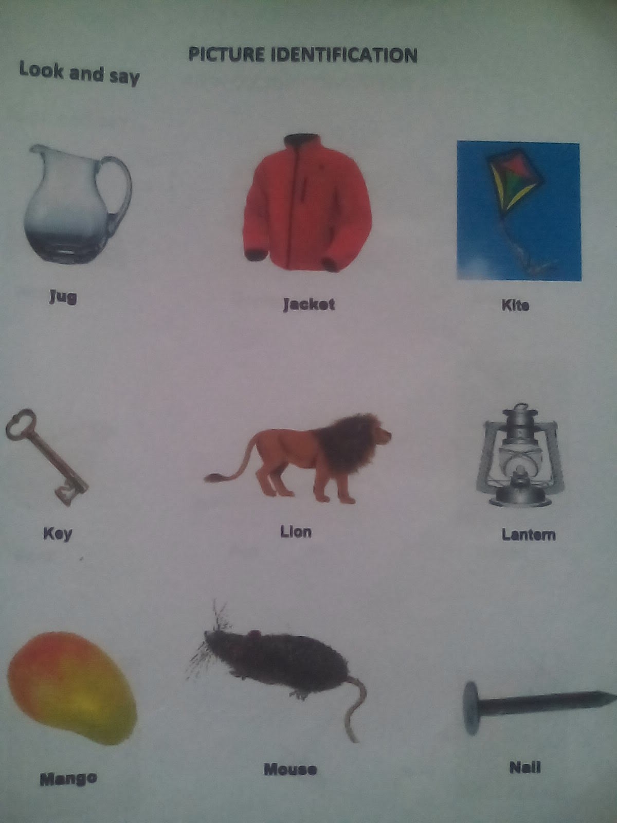 Beedu Educational Services: KINDERGARTEN MATERIALS