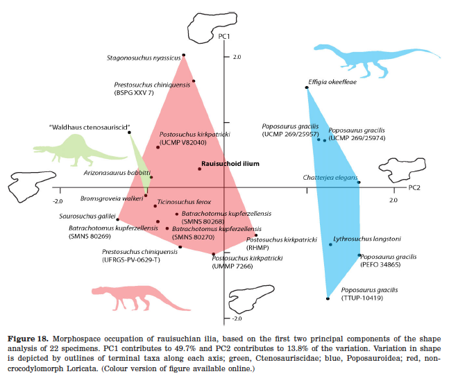 The Dragon's Tales: Revisting Carnian Triassic Rauisuchid Rauisuchus ...