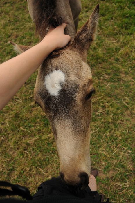 Lotte Simons Photography