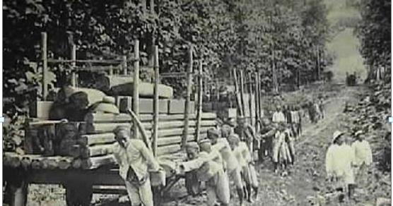 my little notes: Konflik Sampit 2001