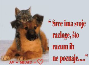 Ljubavne slike, animacije, SMS, čestike za Valentinovo