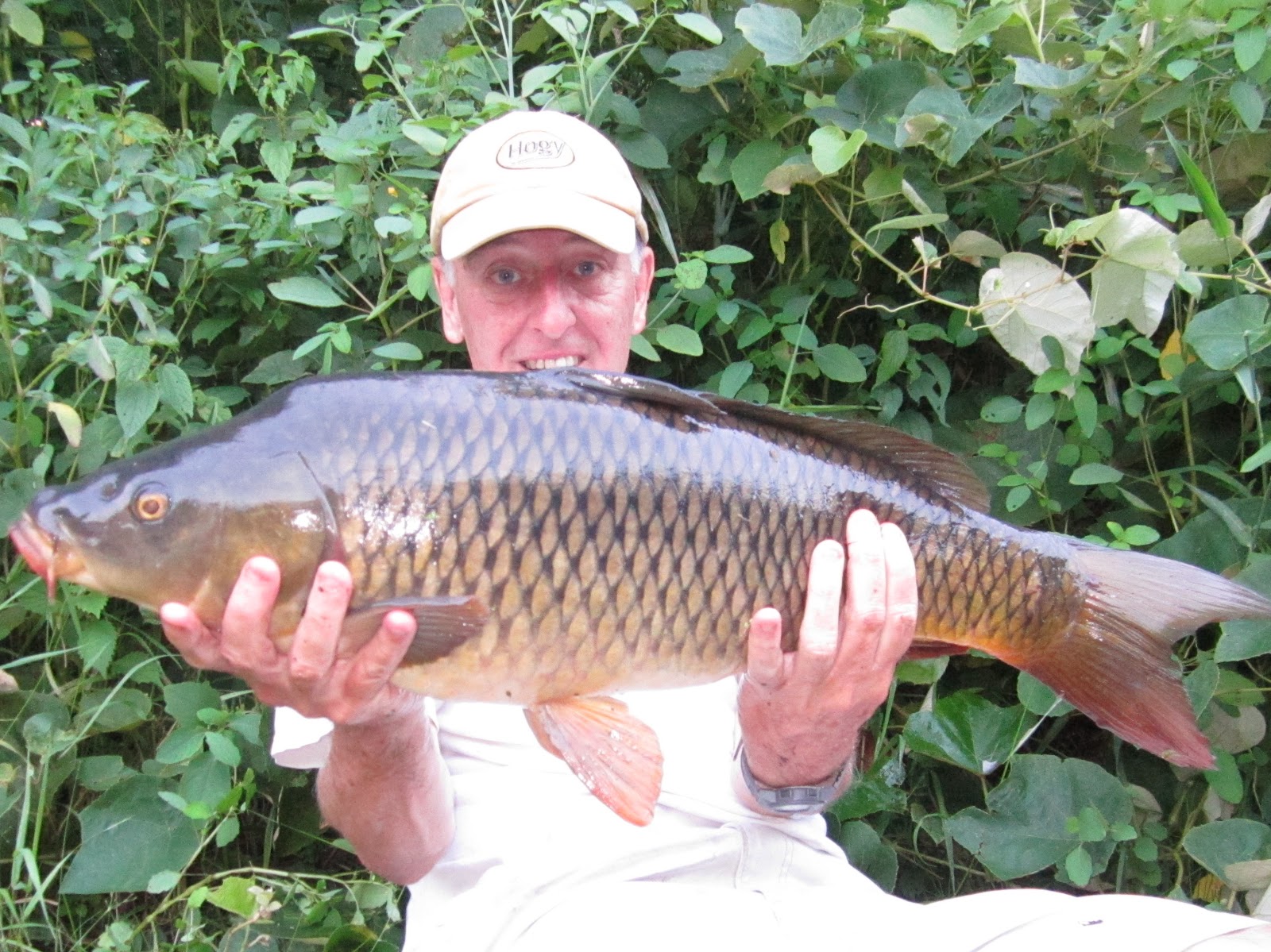 Rhode Island Carp Fishing: August 2012