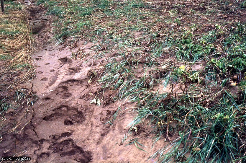The Amazing and Diverse Landscapes of Costa Rica: Hydrology and Soil of ...