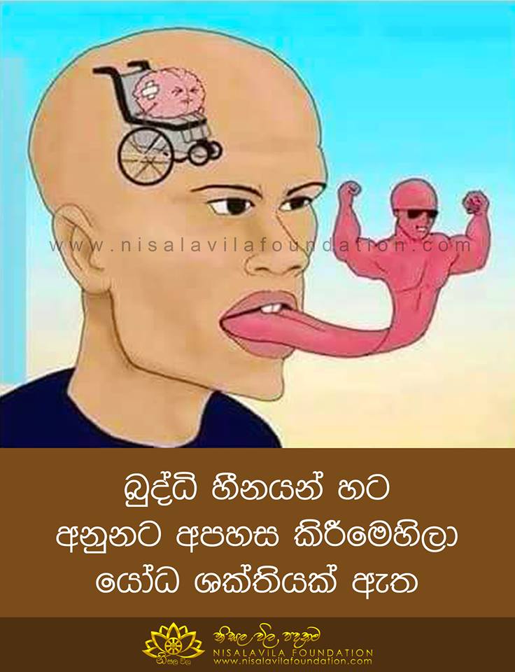 ලයට සිසිල - Nisalavila Foundation