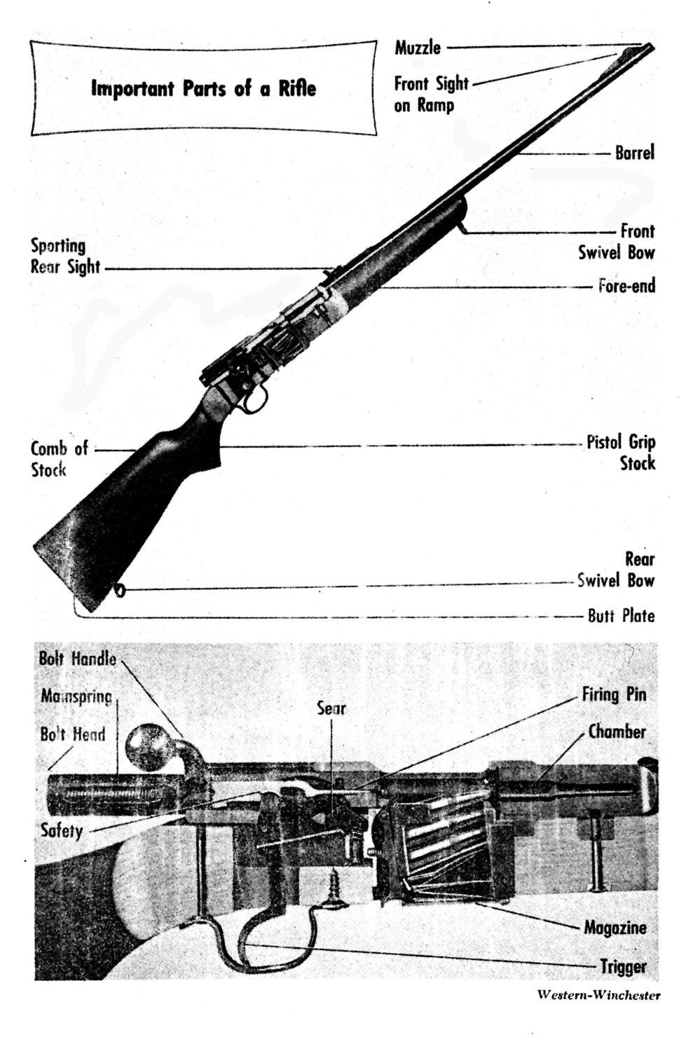 Progress is fine, but it's gone on for too long.: Parts of a Rifle