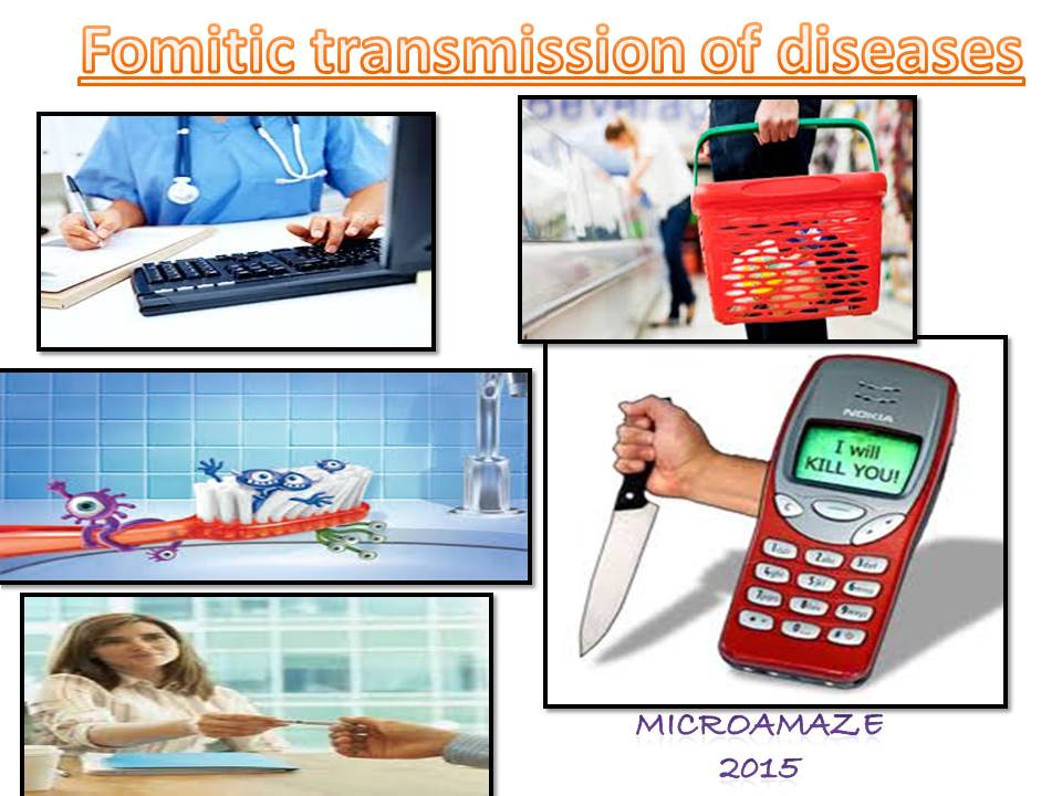Microamaze: Facts and Myths - fomitic transmission of disease
