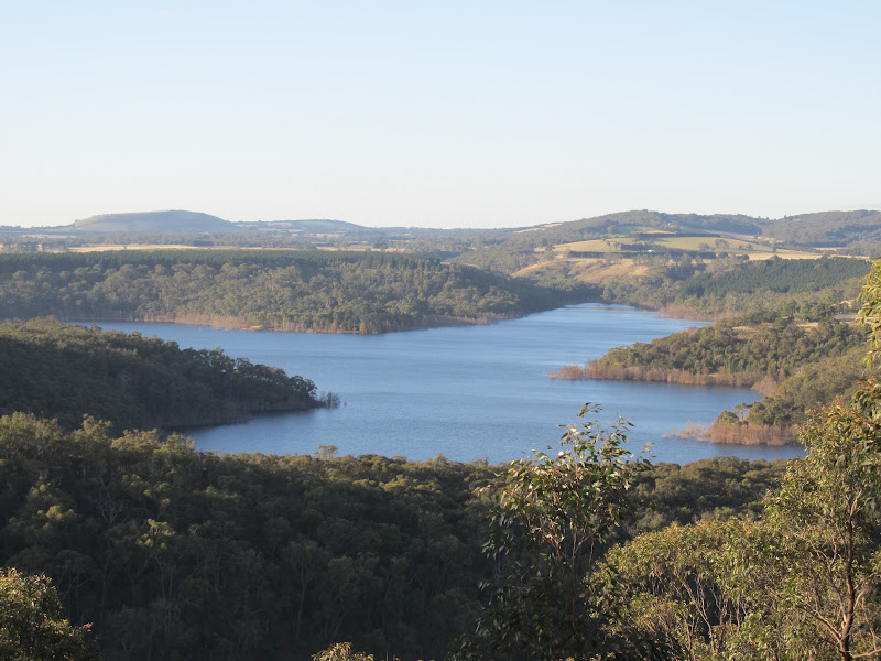 Barwon Blog: Branching out - Bungal Dam