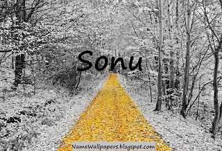 Sonu Name Wallpapers Sonu ~ Name Wallpaper Urdu Name Meaning Name ...