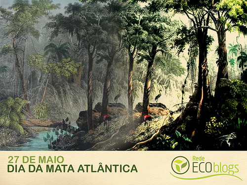 BLOG DA VAN : *27/05/2011 - sexta-feira* - DIA DA MATA ATLÂNTICA
