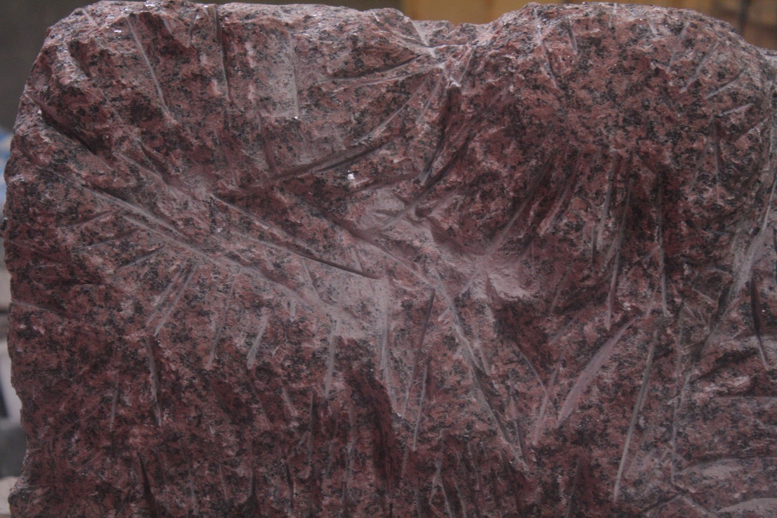 Valmistuvat kuvataiteilijat 2013, Turun Taideakatemia: Sami Aho