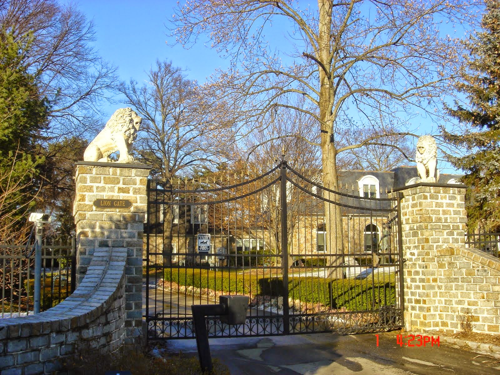nieripigeons USA racing pigeons: Los Jan Aarden de Piet Laseroms.