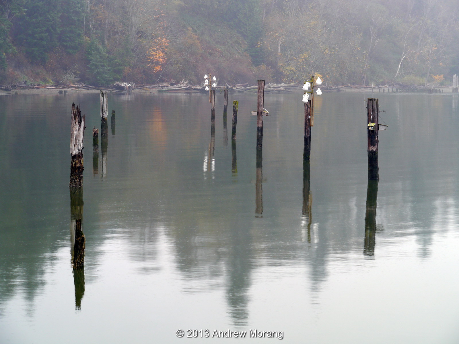 Urban Decay: The Puget Sound Coast: Everett, Washington