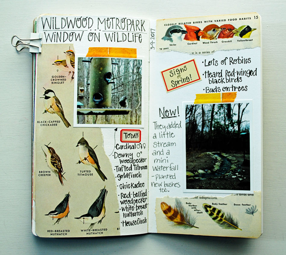 Found on Brighton: March Traveler's Notebook Art