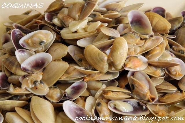 Hoy me apetece cocinar: COQUINAS