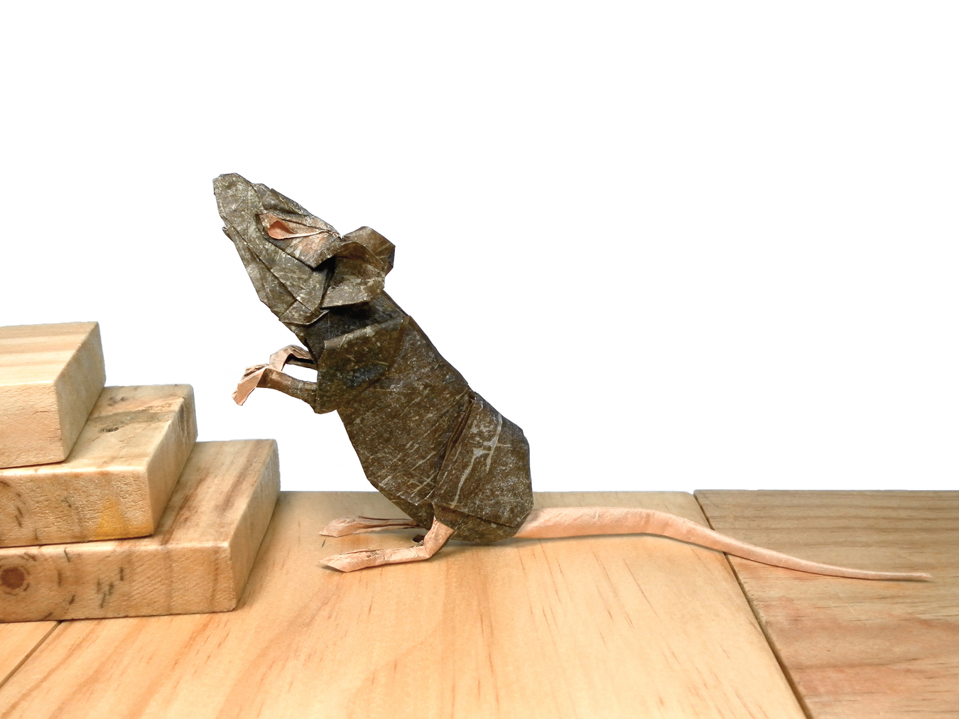 Mariano-Mi mundo el Origami: Ratatouille and friends