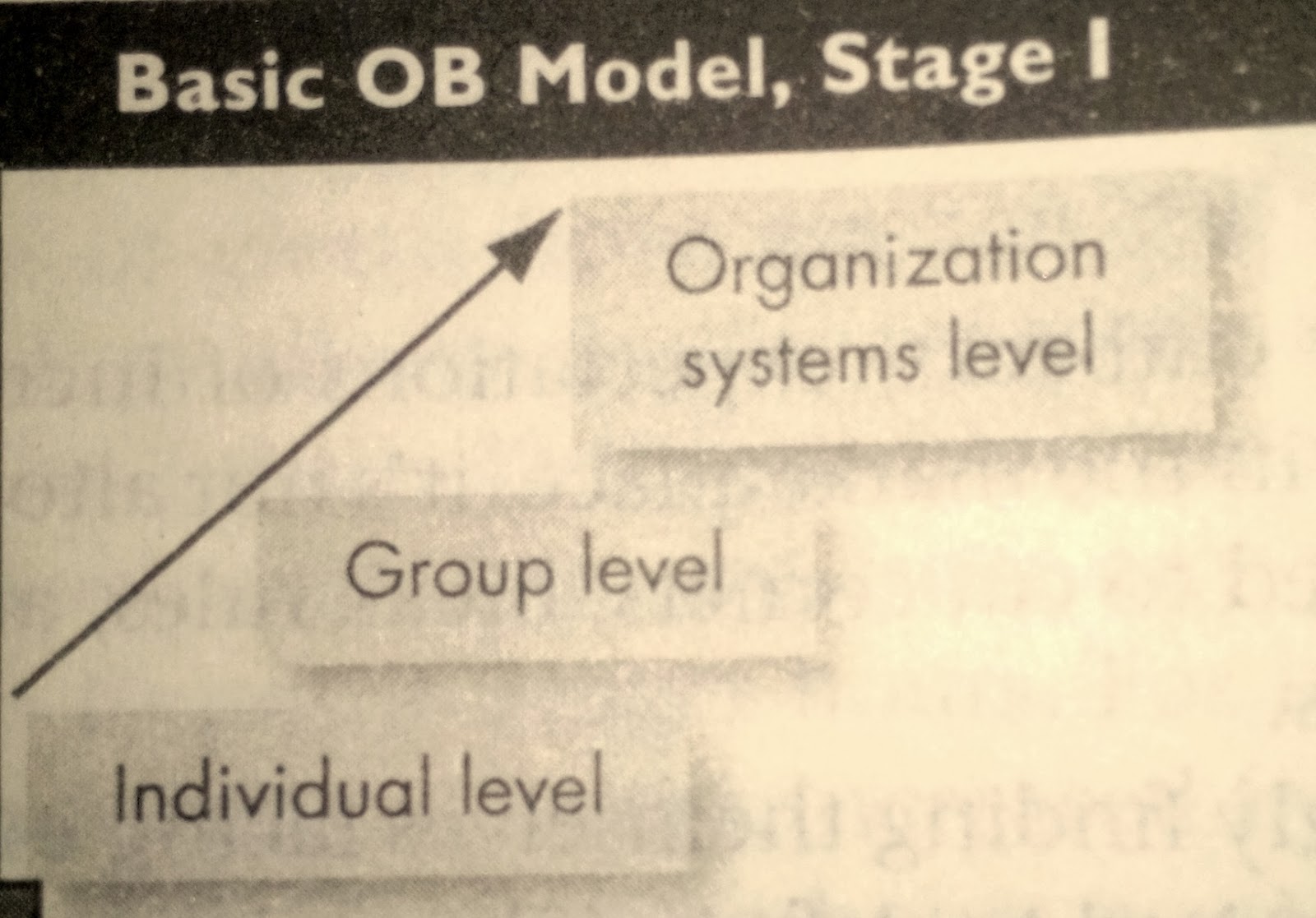 OB System and Levels of Analysis