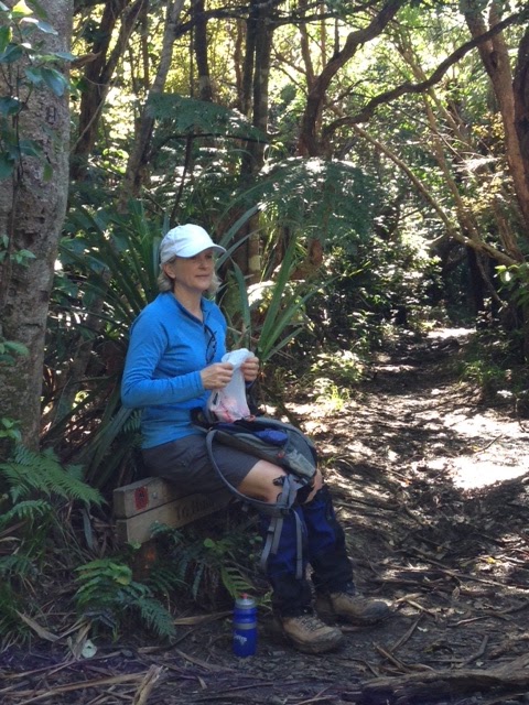 Solvitur Ambulando: Gibbons Track - Muir Track - Pararaha Valley ...