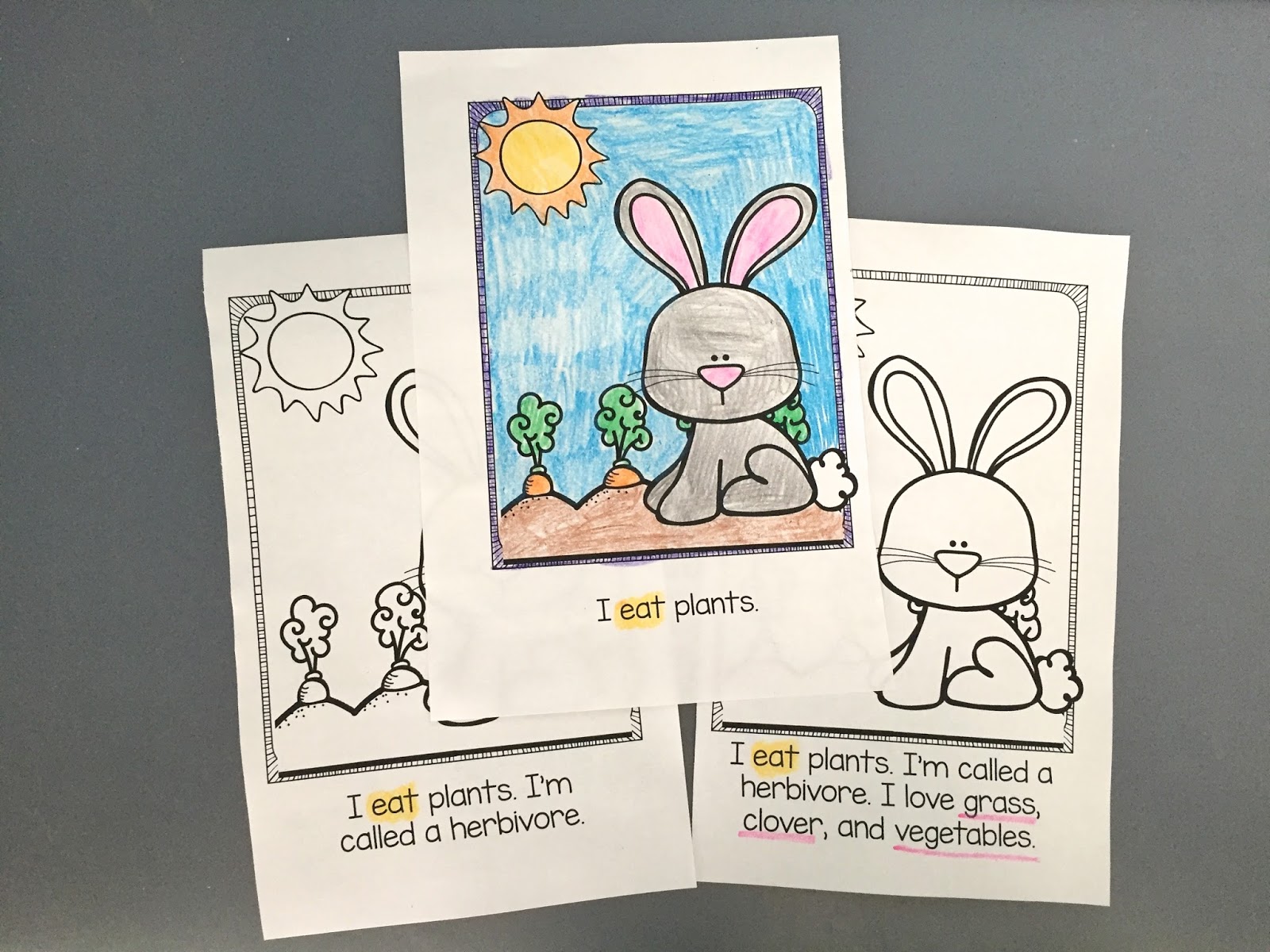 I Am a Rabbit Differentiated Readers Plus a FREEBIE | The Barefoot Teacher