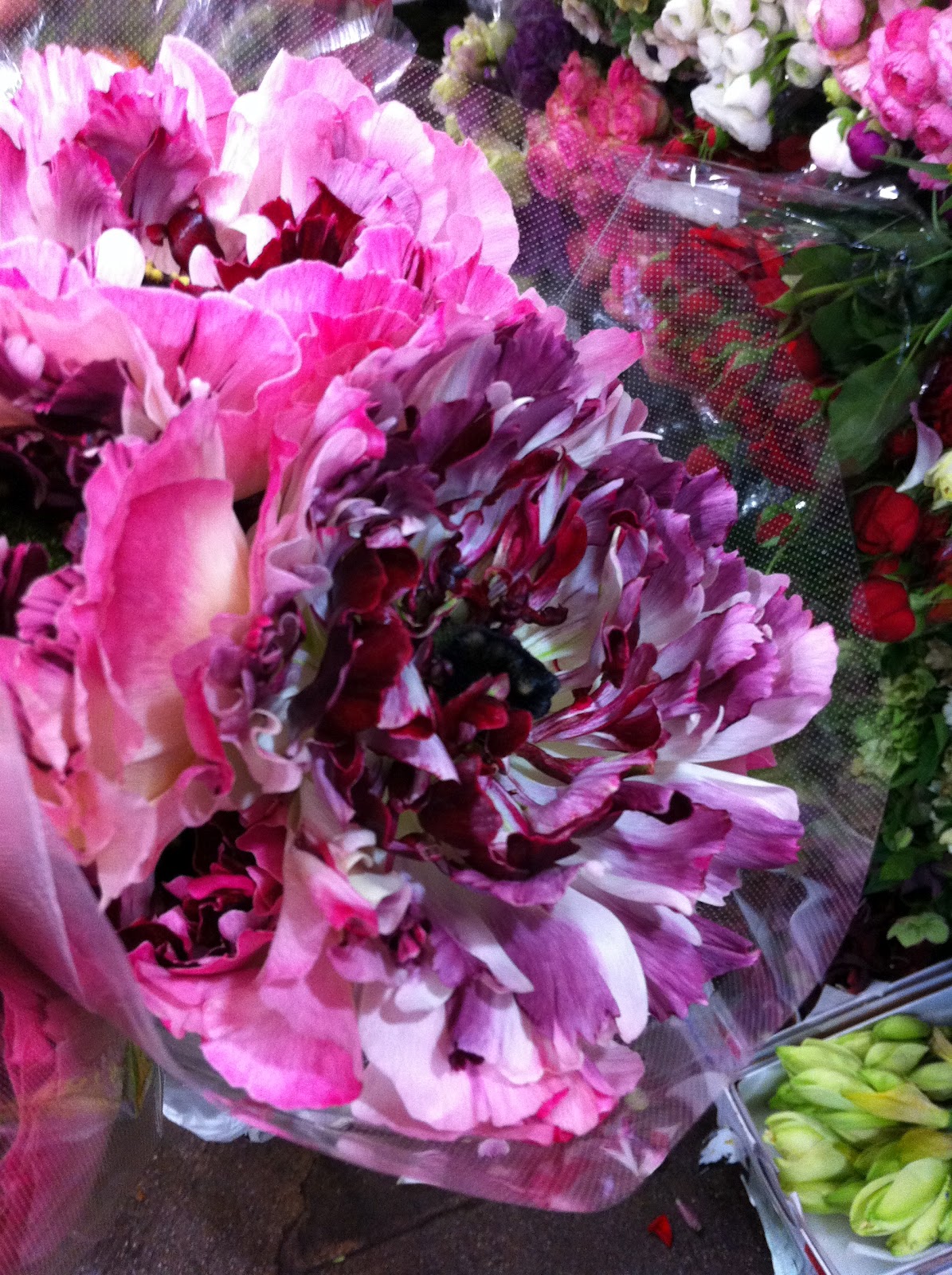 blade new york: Japanese Ranunculus