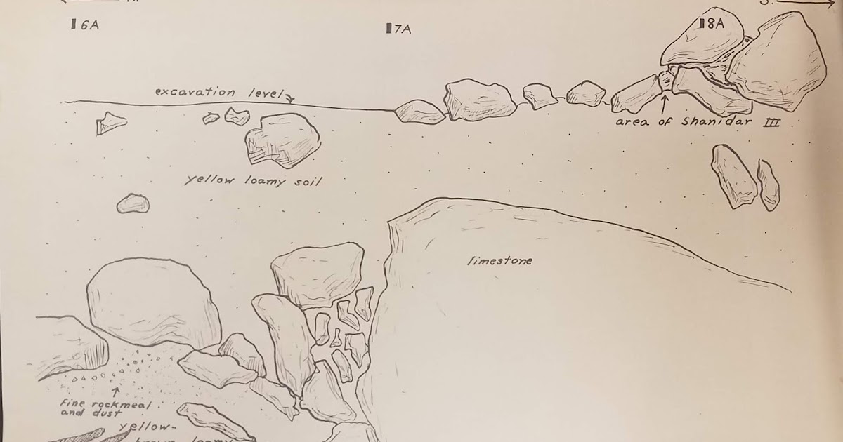 Smithsonian Collections Blog: The Shanidar III Neanderthal: A ...